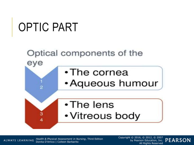 EYE ASSESSMENT.ppt | Eye and Vision Conditions | Diseases and Conditions