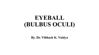 Eye ball.pptx