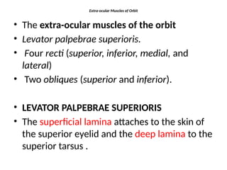 EYEBALL, eye anatomy, extraocular muscles.pptx