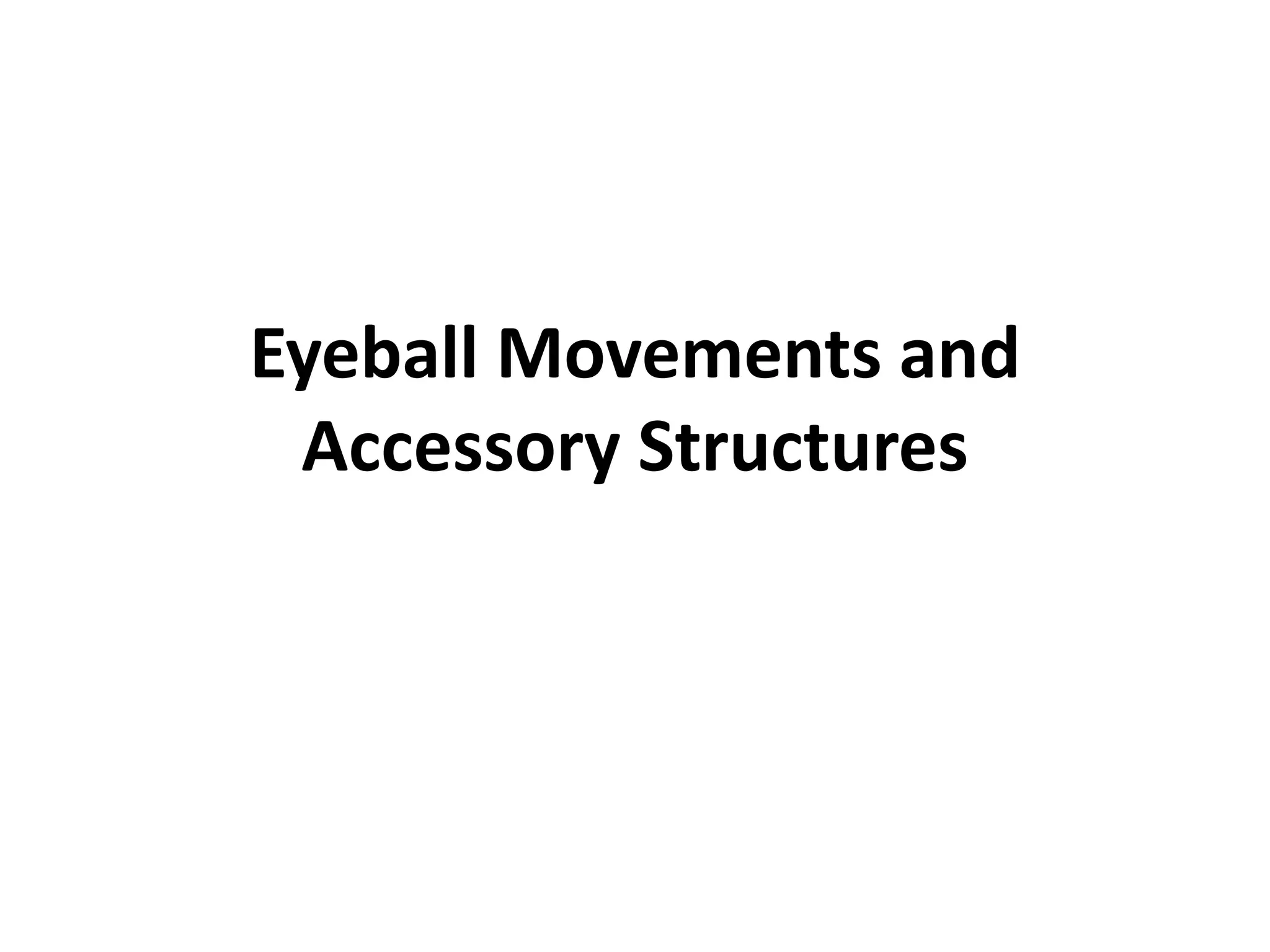 Eyeball Movements and Accessory Structures.pptx