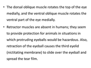 Eyeball Movements and Accessory Structures.pptx