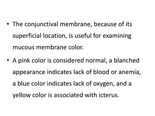 Eyeball Movements and Accessory Structures.pptx