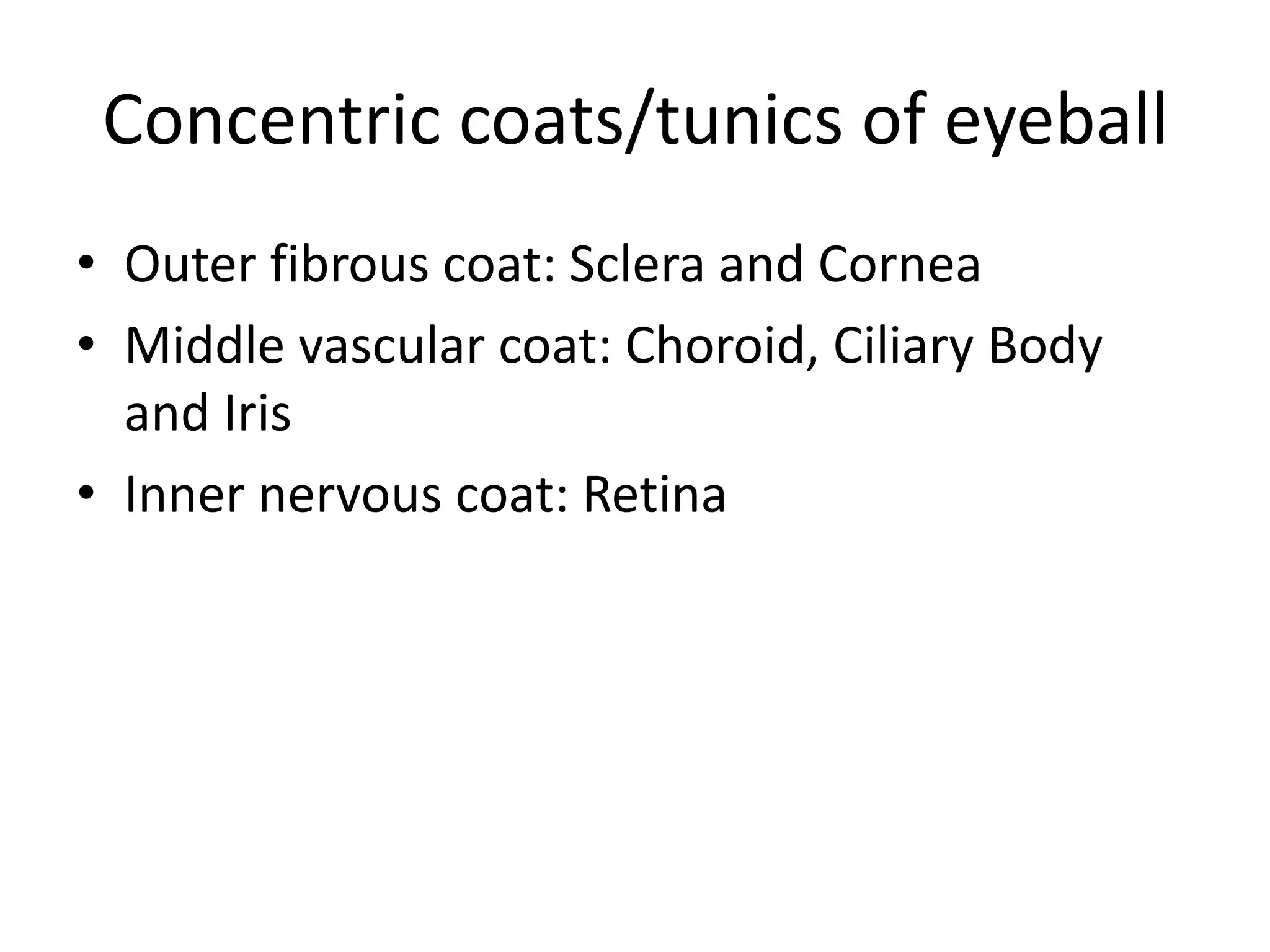 Eyeball Anatomy with histology | PPTX