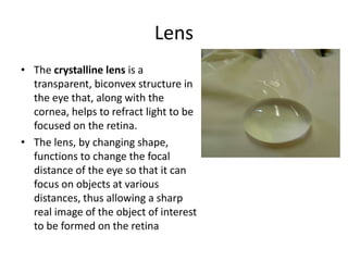 Eyeball Anatomy with histology | PPTX