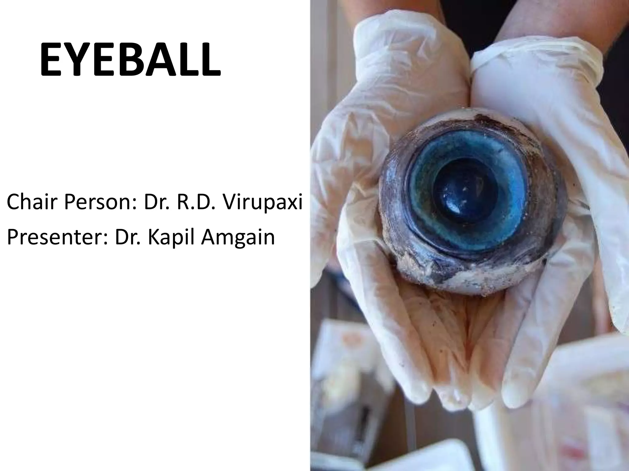 Gross Anotomy and Histology of Eyeball - Dr. Kapil Amgain | PPTX