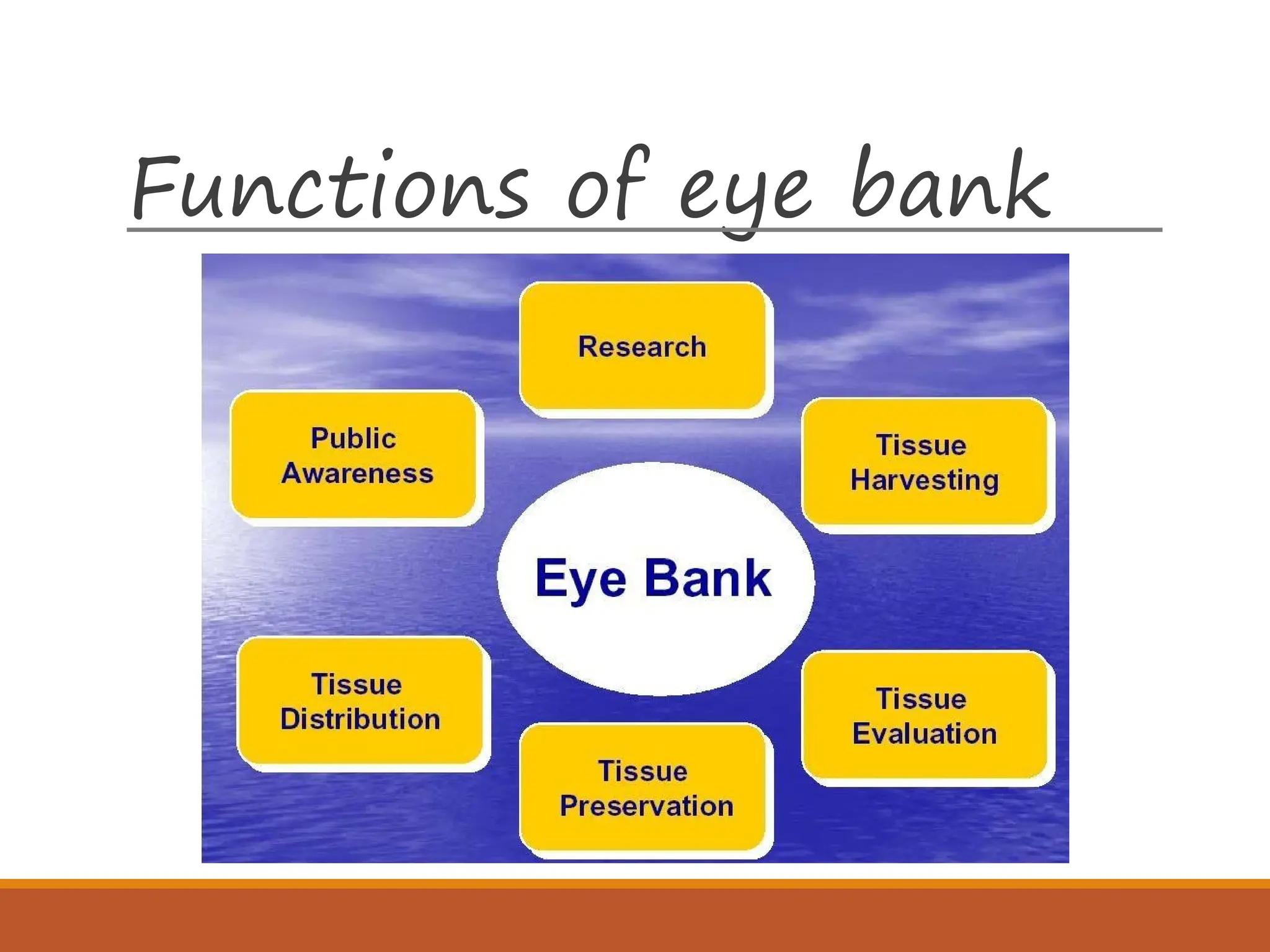 eye bank, eye donation, corneal transplantation.pdf