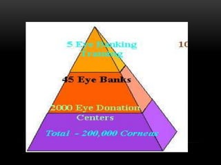 Eye banking | PPTX