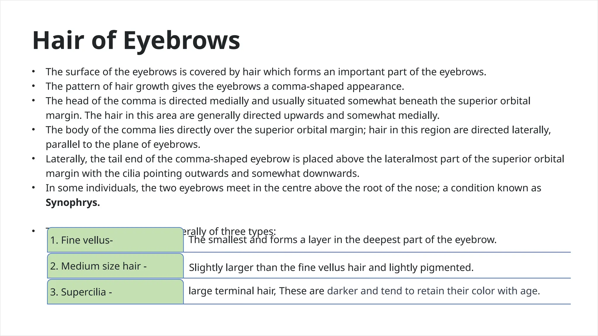 Eyebrows Anatomy . | PPTX