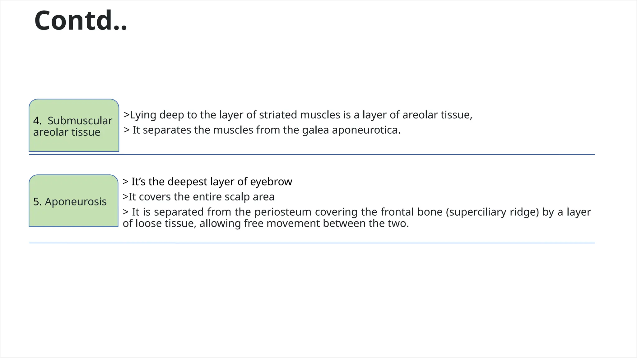 Eyebrows Anatomy . | PPTX