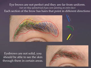 Eyebrows & eyelashes | PPTX