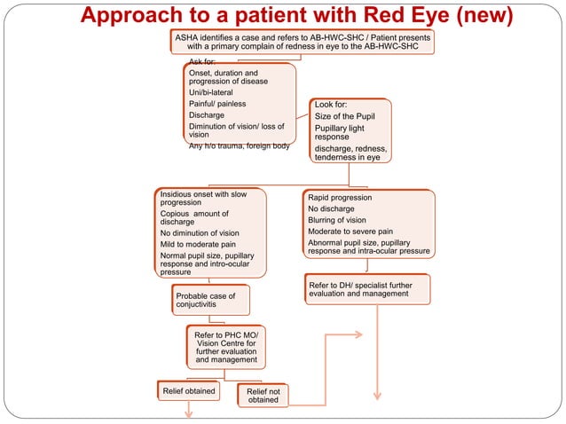 Eye care - Common Eye related Conditions.pptx | Eye and Vision ...