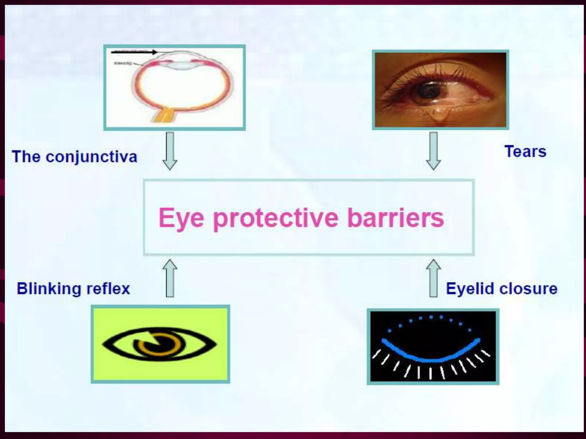 Eye care tips in ICU | PPT