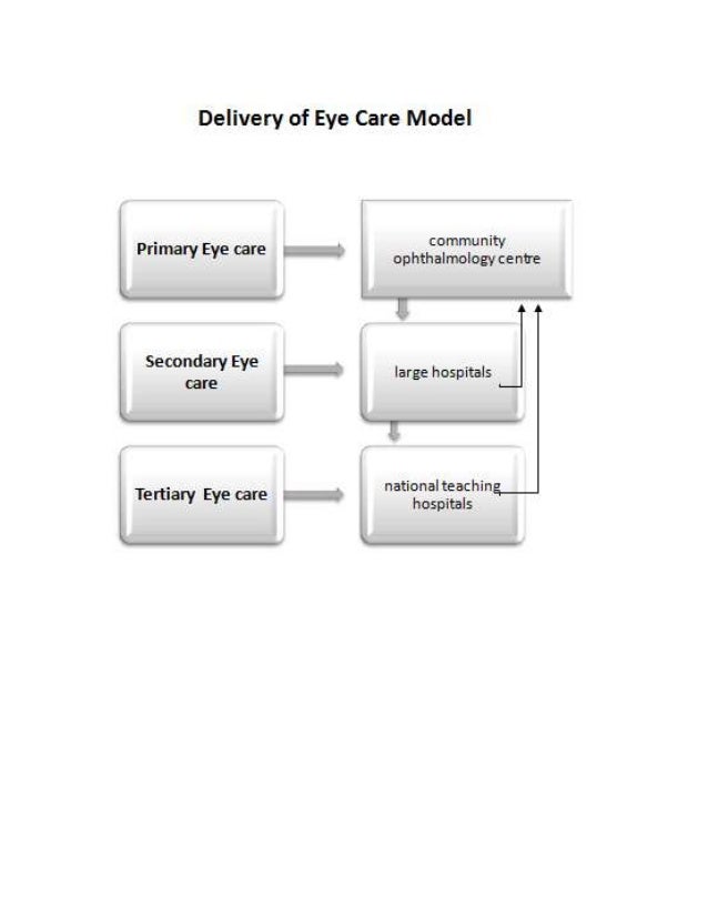 Primary, Secondary and Tertiary Eye Care Services | DOCX