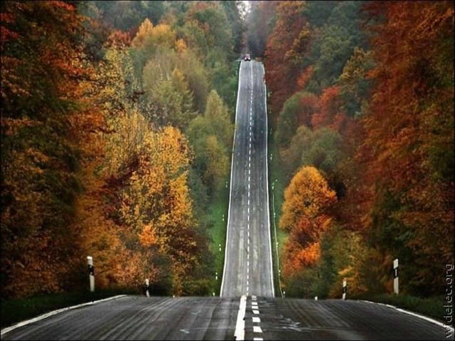 Eye catching photos | PPT