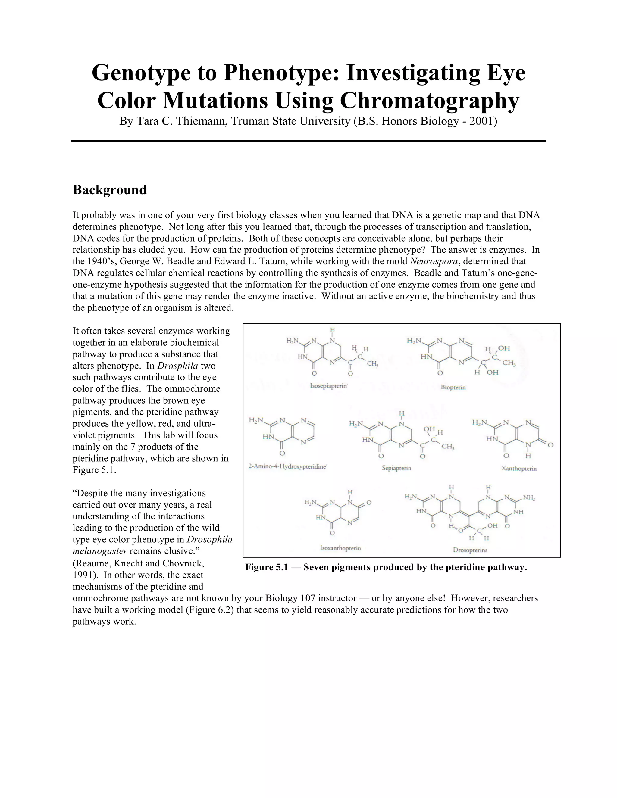 Eye color mutations chromatography drosophila | PDF