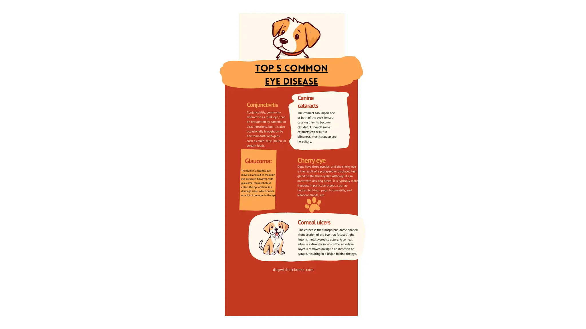 common eye disease in dogs-dogwithsickness | PDF
