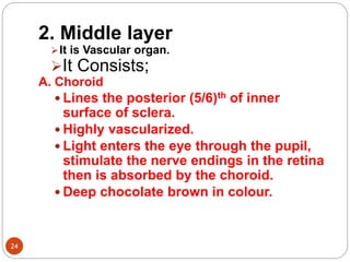 Eye disorder medical surgical nursing.ppt