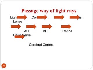 Eye disorder medical surgical nursing.ppt