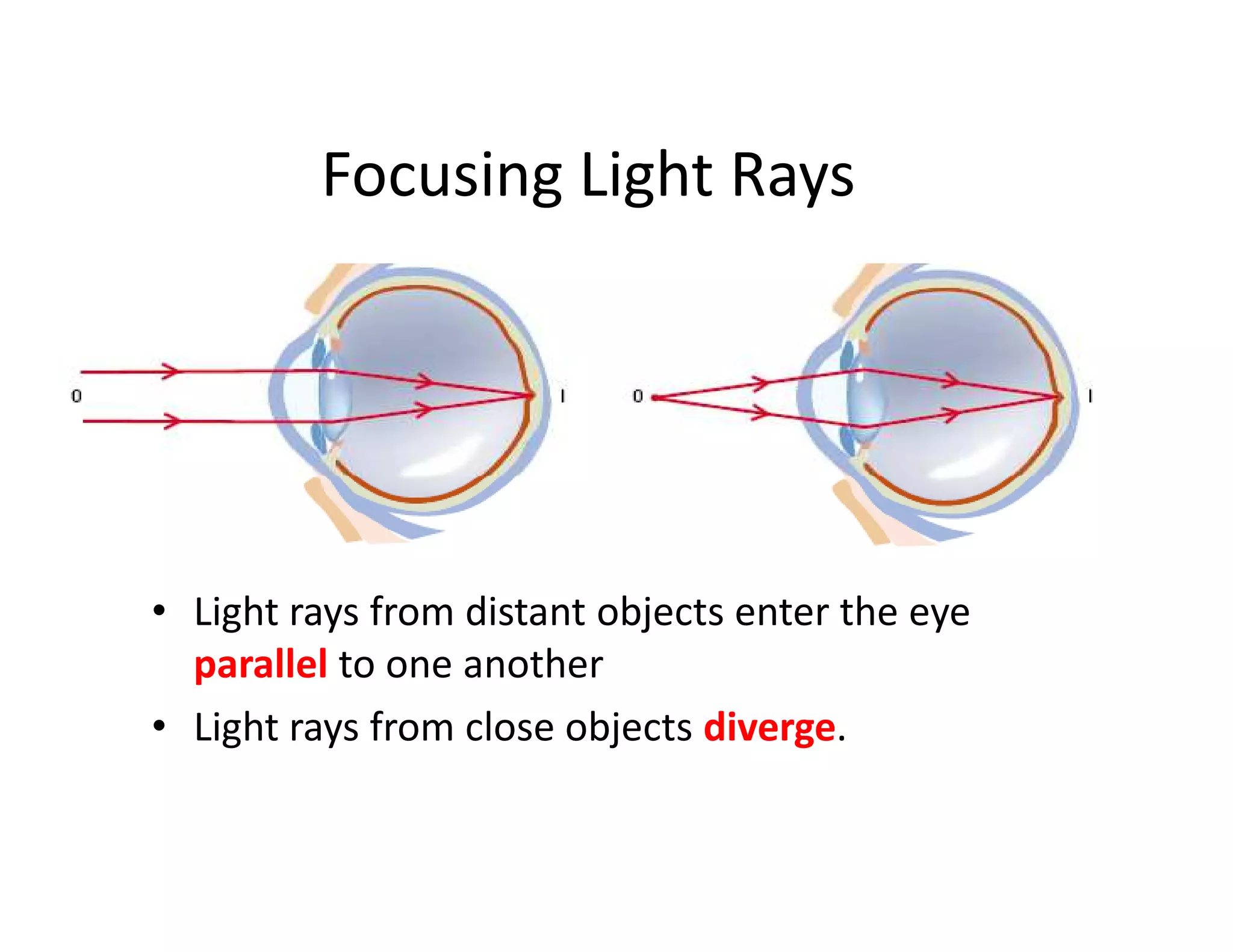 Eye disorders | PDF