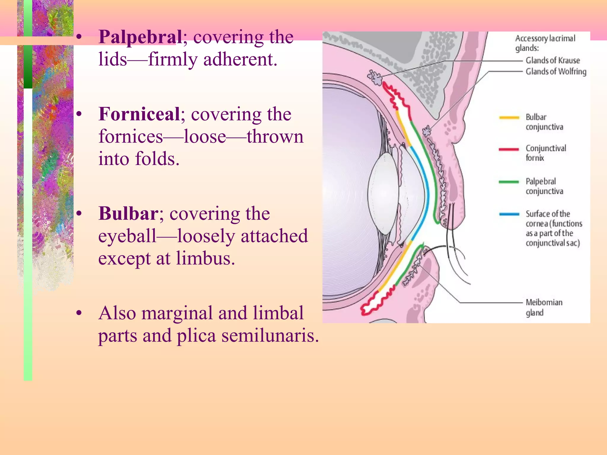 Eye diseases & disorders | PPT