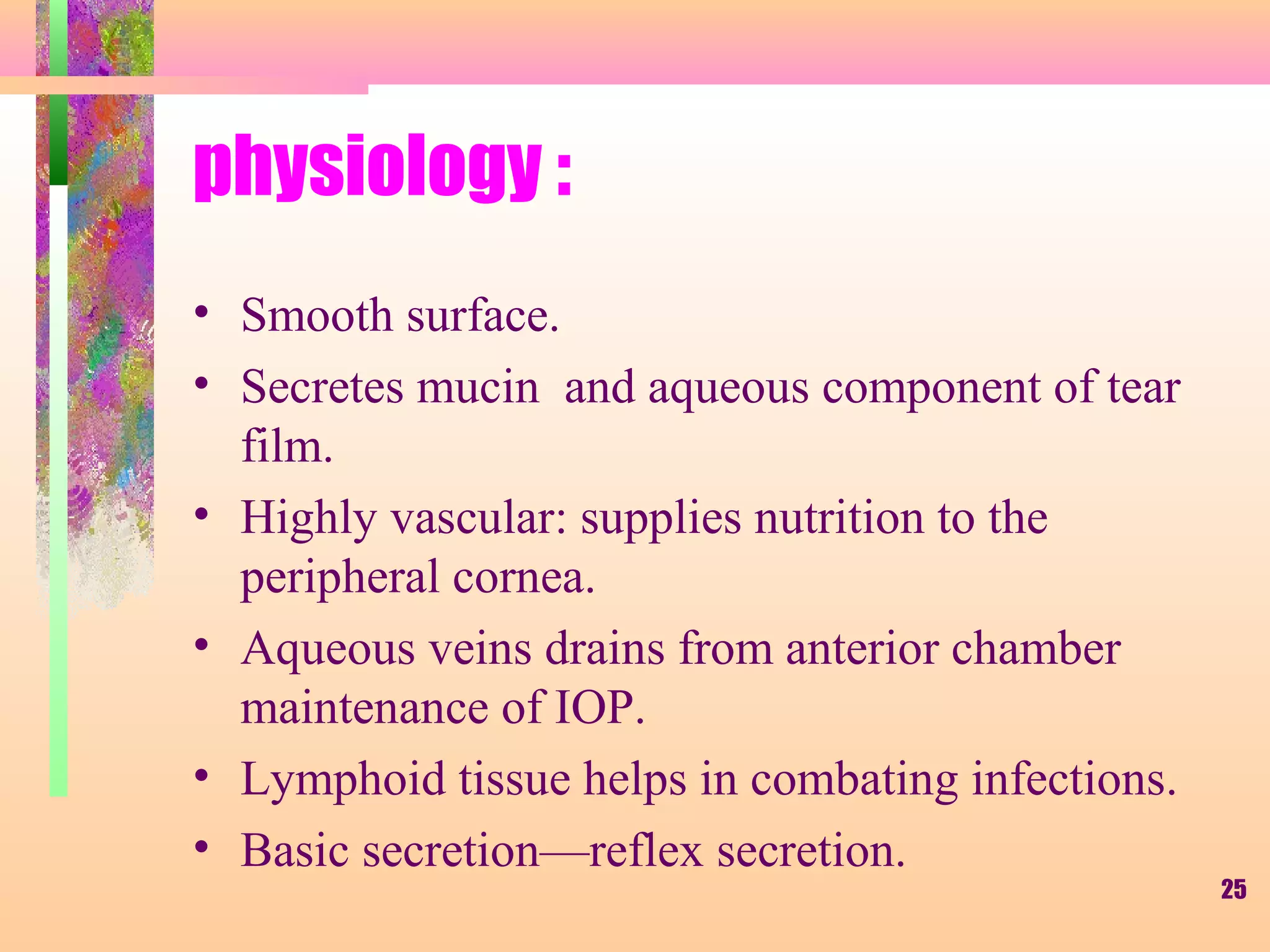 Eye diseases & disorders | PPT | Eye and Vision Conditions | Diseases ...