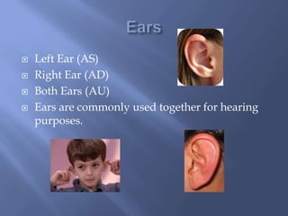 Eye & ear abbreviations | PPTX