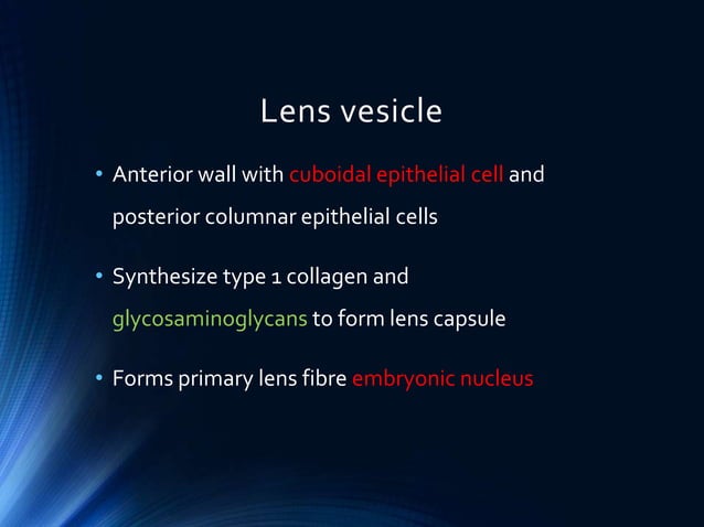Eye embryology | PPT