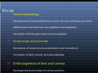 Eye embryology | PPTX