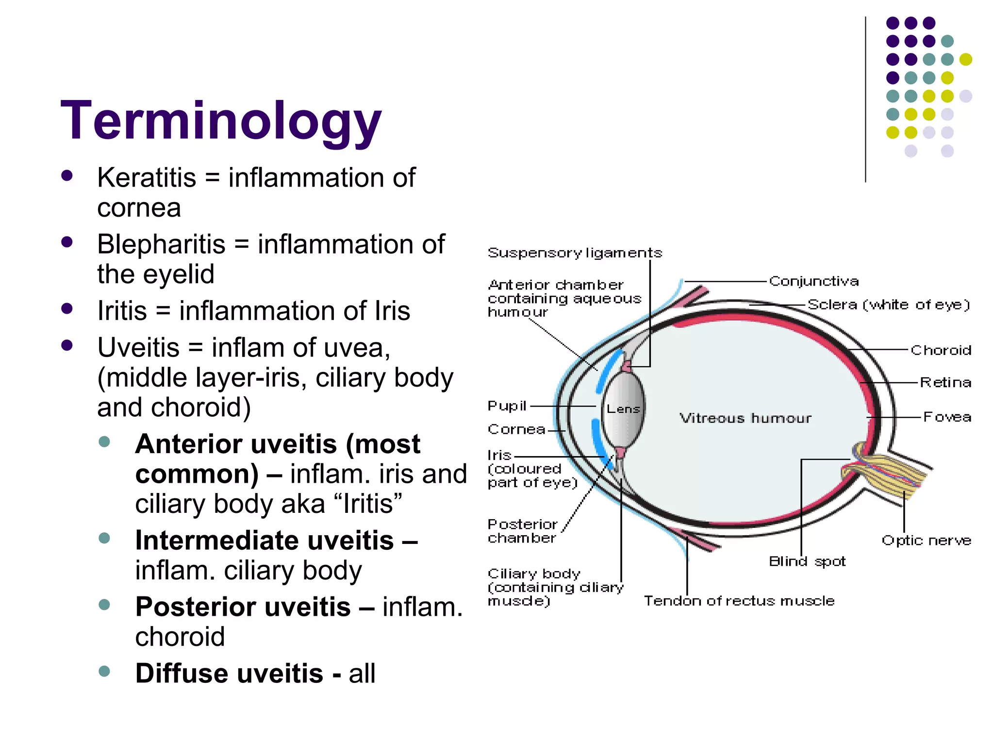 Eye emergencies | PPT