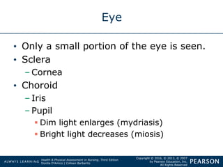 eye examination.ppt
