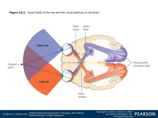 eye examination.ppt