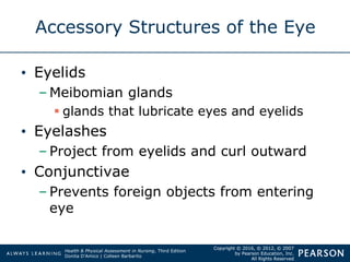 eye examination.ppt