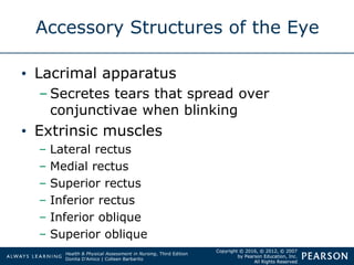eye examination.ppt