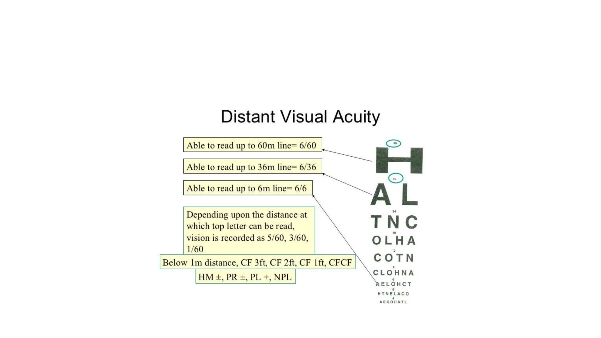 EYE Examination.pptx- ANATOMY AND PHYSIOLOGY | PPT