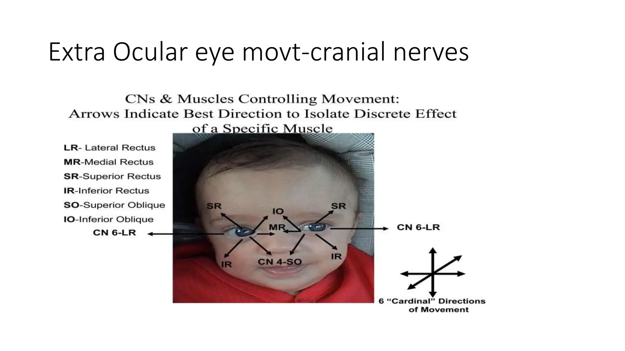 EYE Examination.pptx- ANATOMY AND PHYSIOLOGY | PPT