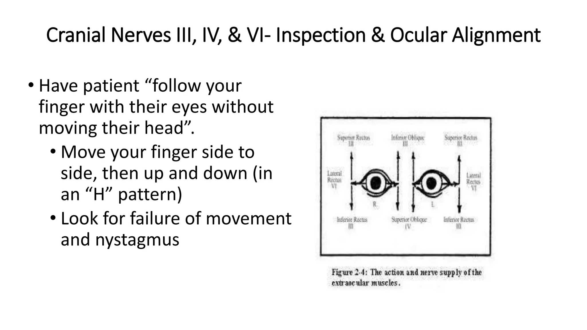 EYE Examination.pptx- ANATOMY AND PHYSIOLOGY | PPT