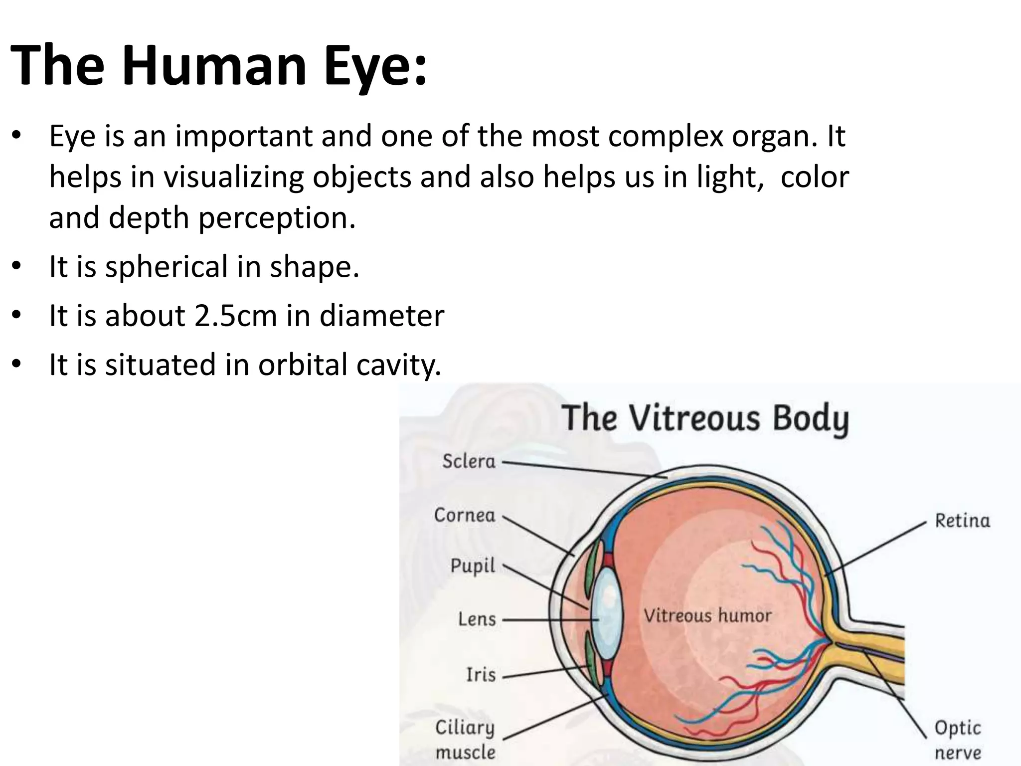 EYE EXAMINATION(Linda).pptx