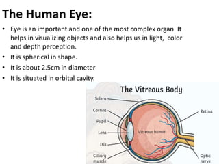 EYE EXAMINATION(Linda).pptx