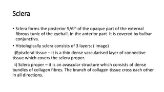 Eye in connective tissue disoreders | PPTX