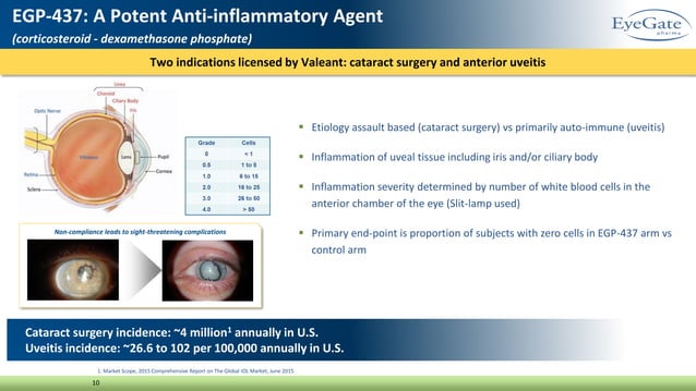Ophthalmology Innovation Showcase 1 - EyeGate Pharma | PPT