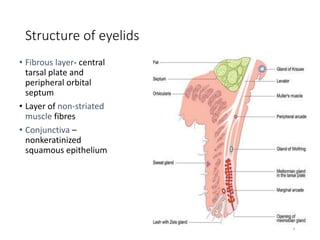 eyeid_disorder_lecture (1).pptx