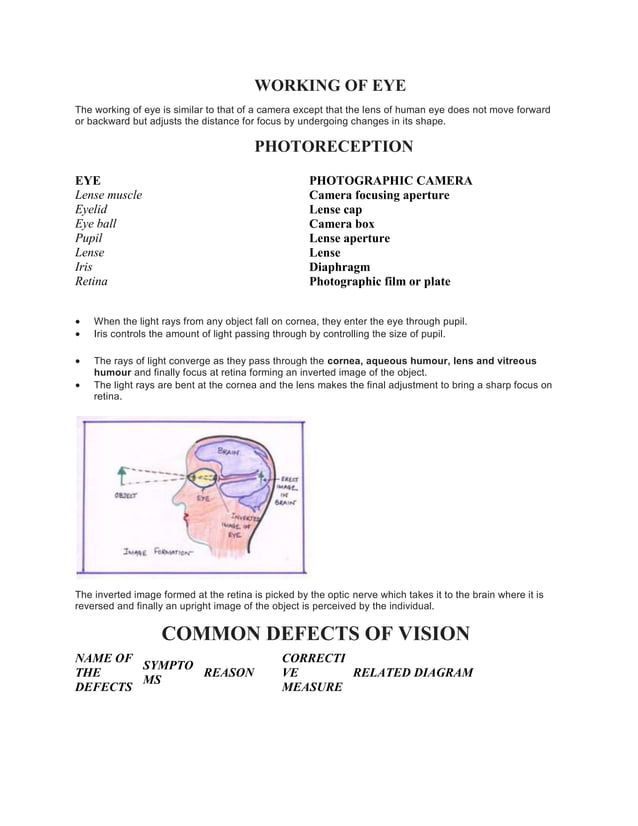 EYE IMAGE.docx