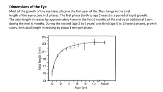 Embryology of eye- Anatomical Considerations | PPTX