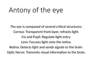 Eye injury.pptxaaaaaaaaaaaaaaaaaaaaaaaaaa | PPT