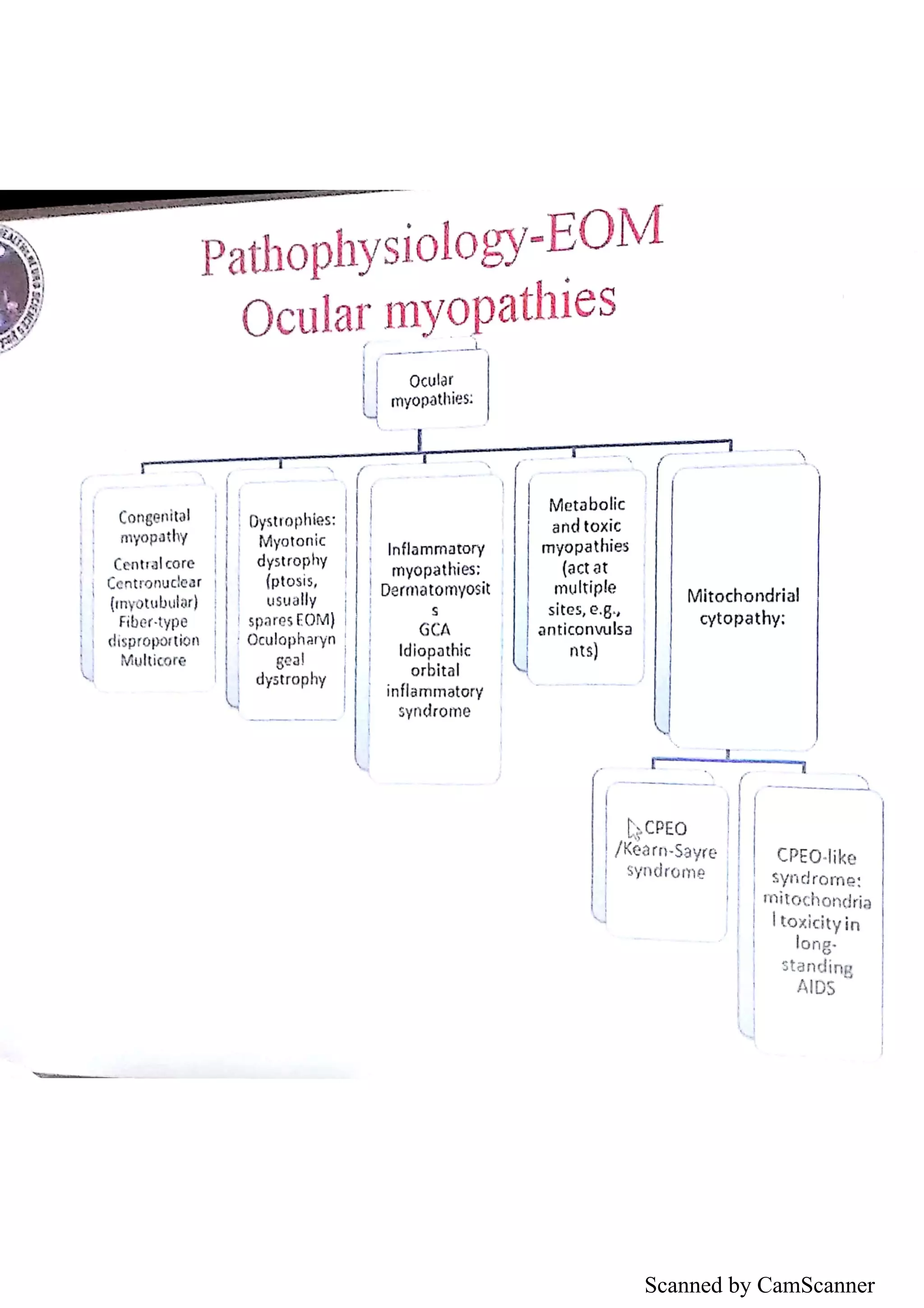 Eye movements in neurological examination : Nystagmus | PDF