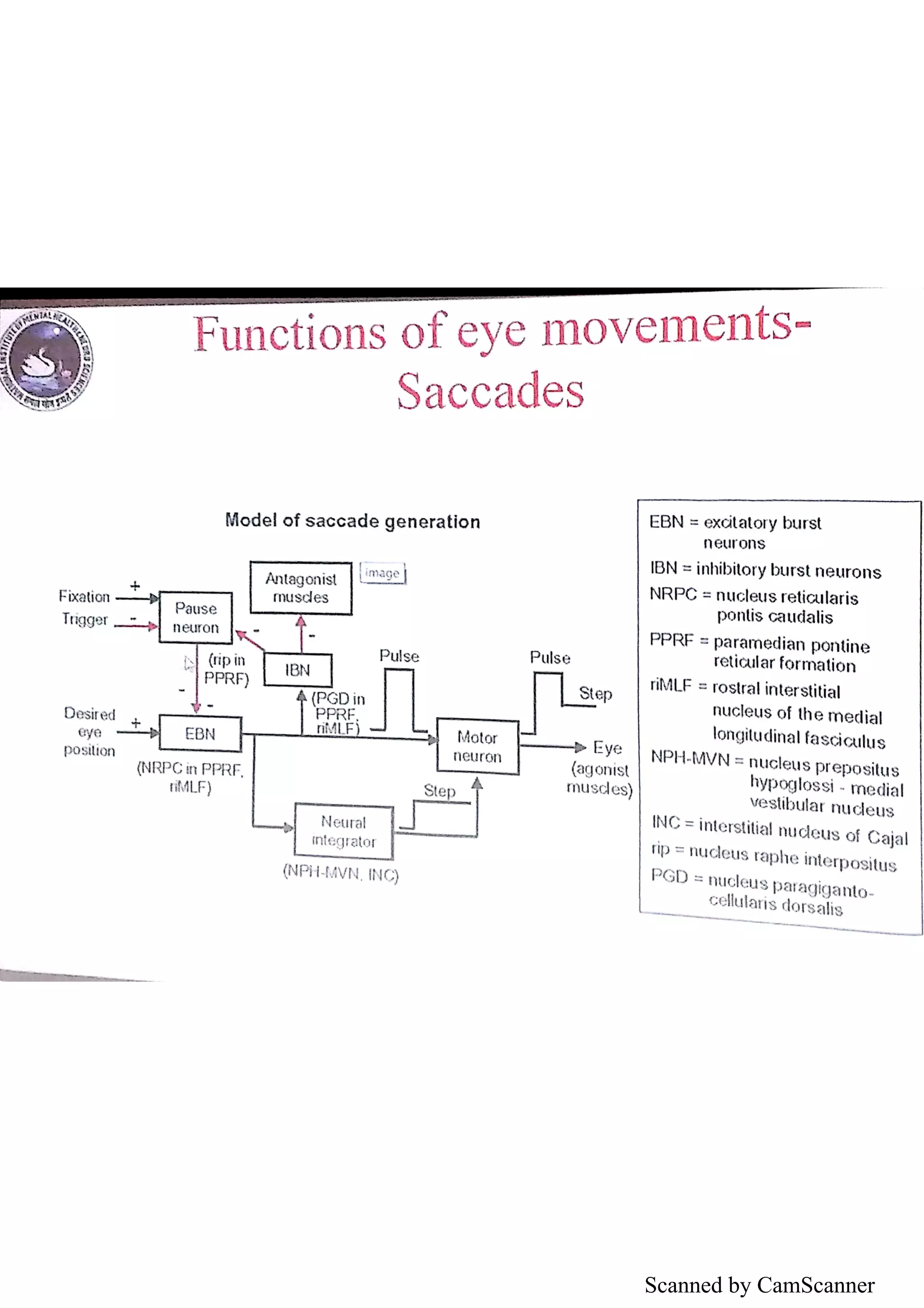Eye movements in neurological examination : Nystagmus | PDF