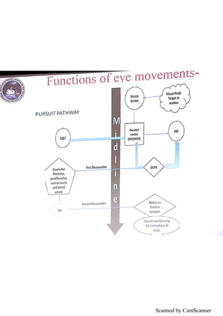 Eye movements in neurological examination : Nystagmus | PDF