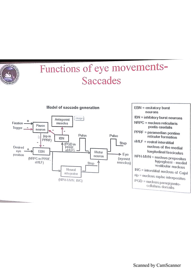 Eye movements in neurological examination : Nystagmus | PDF