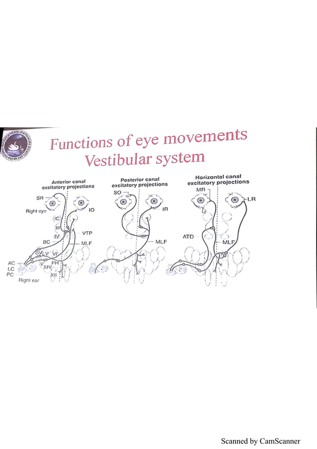 Eye movements in neurological examination : Nystagmus | PDF