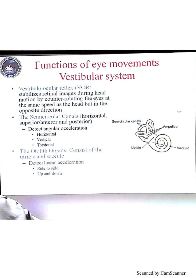 Eye movements in neurological examination : Nystagmus | PDF